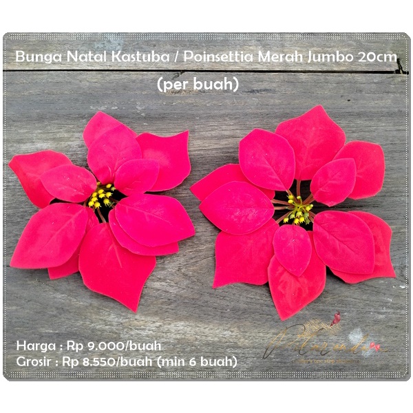 Jual NATL-334 : Bunga Natal Kastuba / Poinsettia Merah Jumbo 20 cm (per ...