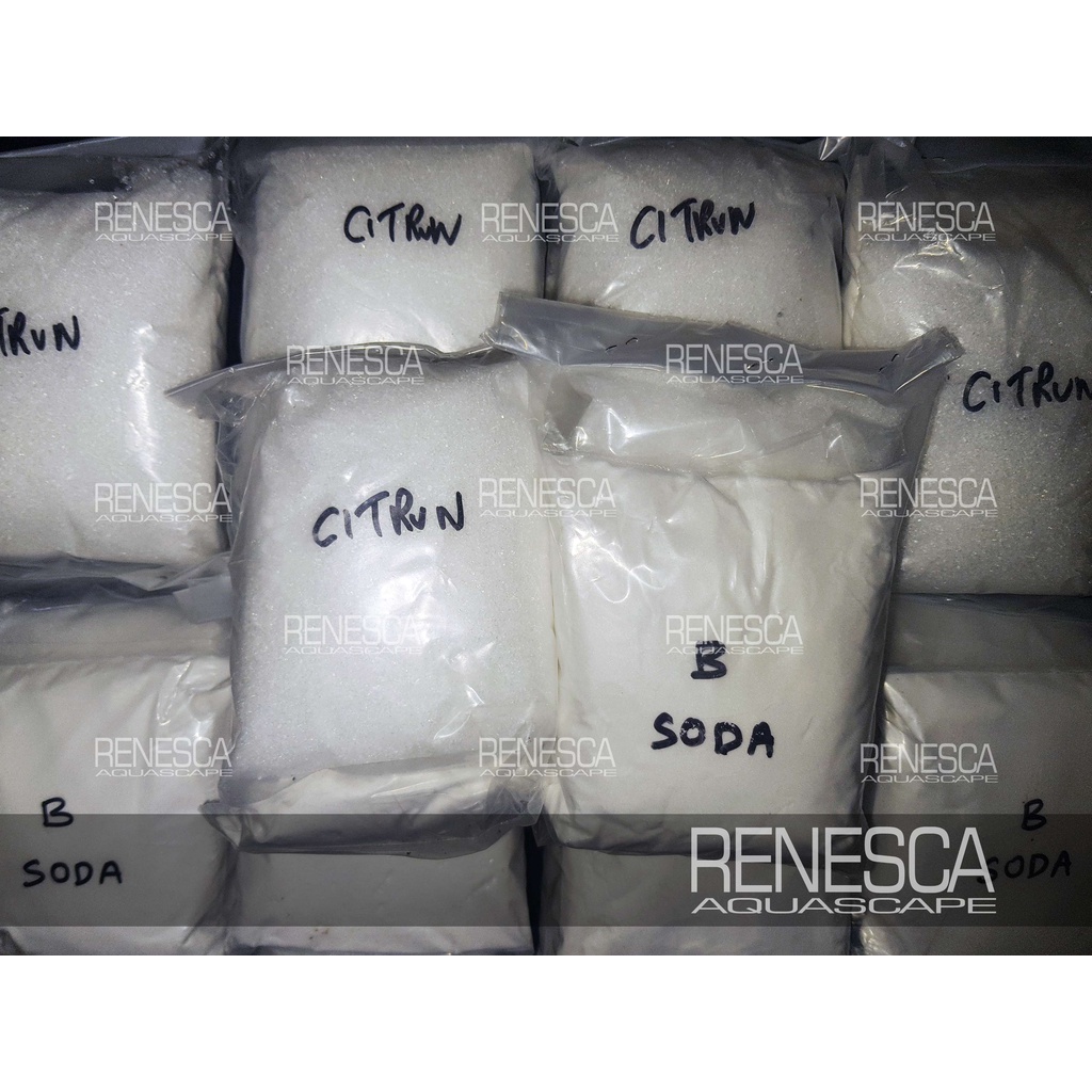 Jual Cisod Co2 DIY Citrun Soda - Citric Acid 200 Gram Baking Soda 200 ...