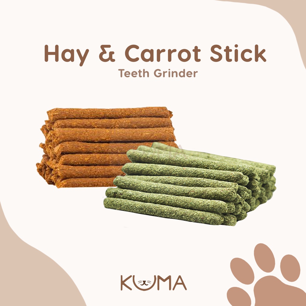 Jual [KUMA] 1 Pc Natural Timothy Hay Carrot Chew Stick | Makanan Mainan ...