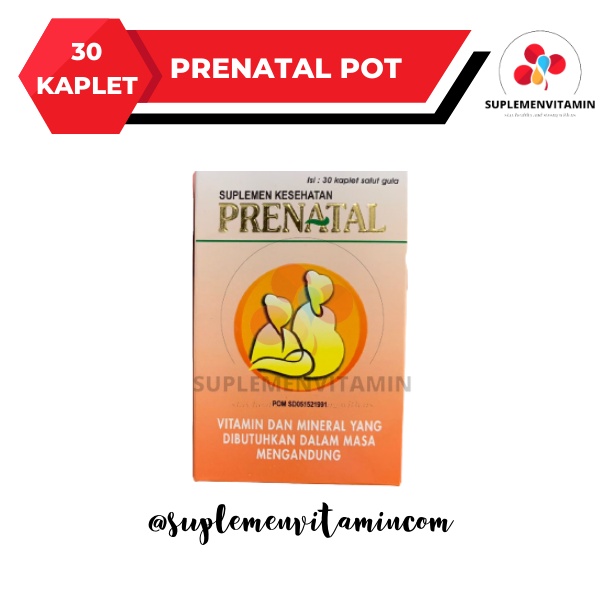 Jual Prenatal Suplemen Vitamin Mineral Untuk Ibu Hamil Dan Menyusui