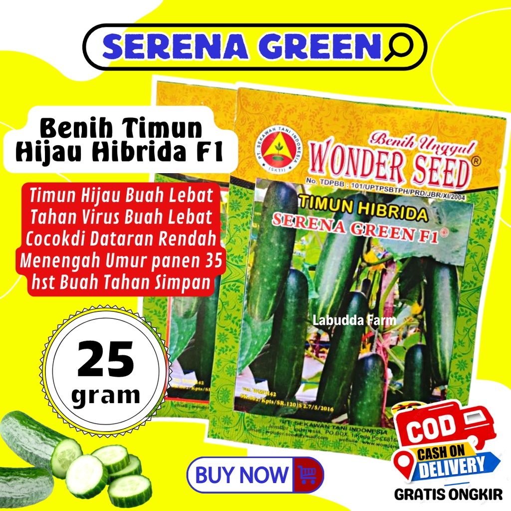 Jual Benih Timun Hijau SERENA GREEN F1 Benih Unggul Timun Hibrida F1 25 ...