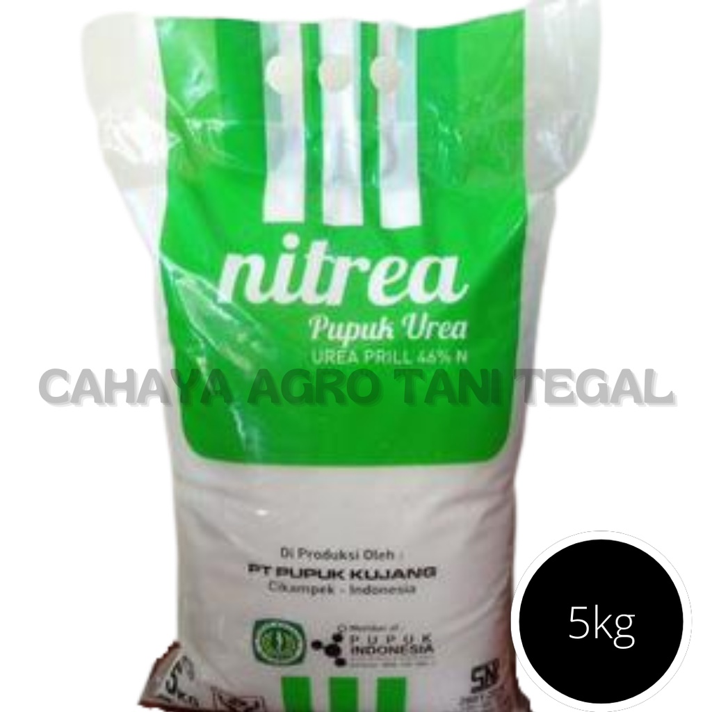 Jual Pupuk Urea Kujang NITREA 5kg Non Subsidi Original | Shopee Indonesia