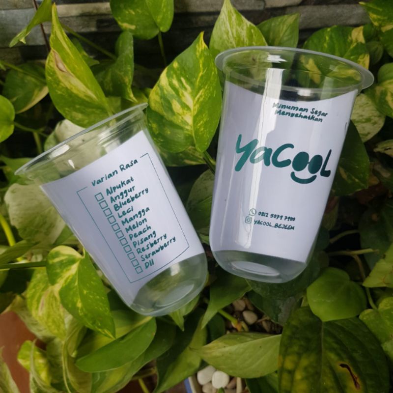 Harga Yacool Terbaru Juni 2024 |BigGo Indonesia