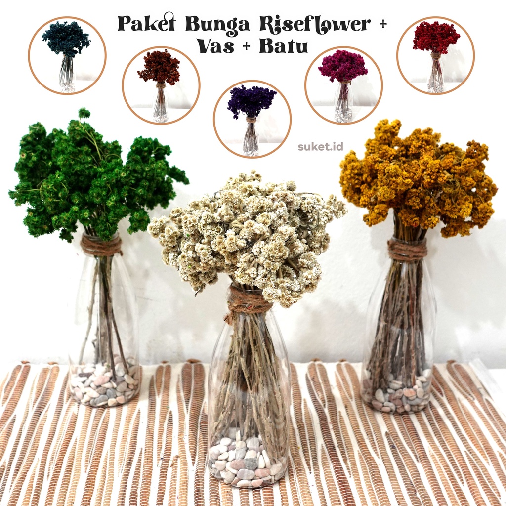 Jual Paket Lengkap Vas + Bunga Kering Edelws | Shopee Indonesia