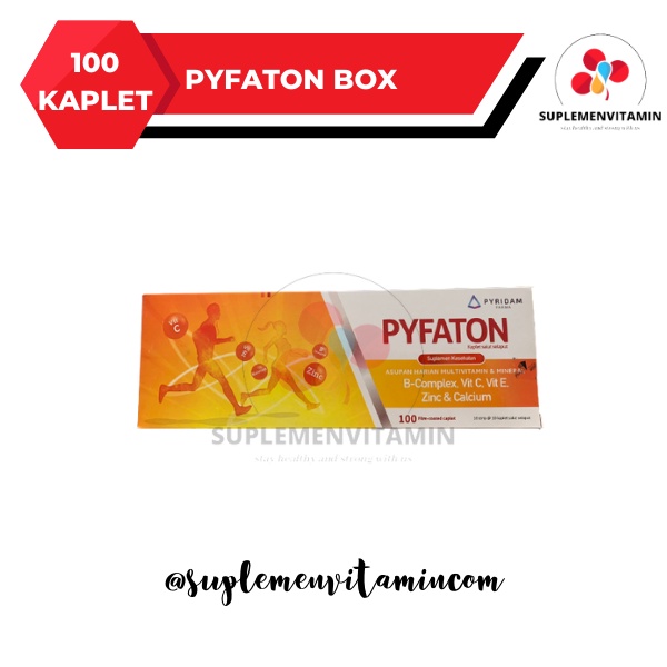 Jual Pyfaton Suplemen Vitamin Mineral Original Pyridam - Box isi 100 ...