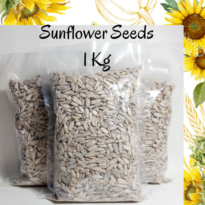 Jual SUNFLOWER SEEDS 1 KG - BIJI BUNGA MATAHARI MENTAH - MURAH | Shopee ...
