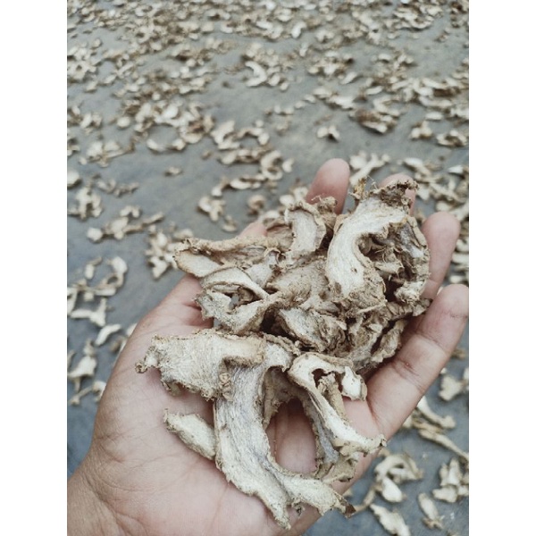 Jual Jahe gajah/putih kering 1kg | Shopee Indonesia Jual Jahe gajah/putih kering 1kg | Shopee Indonesia