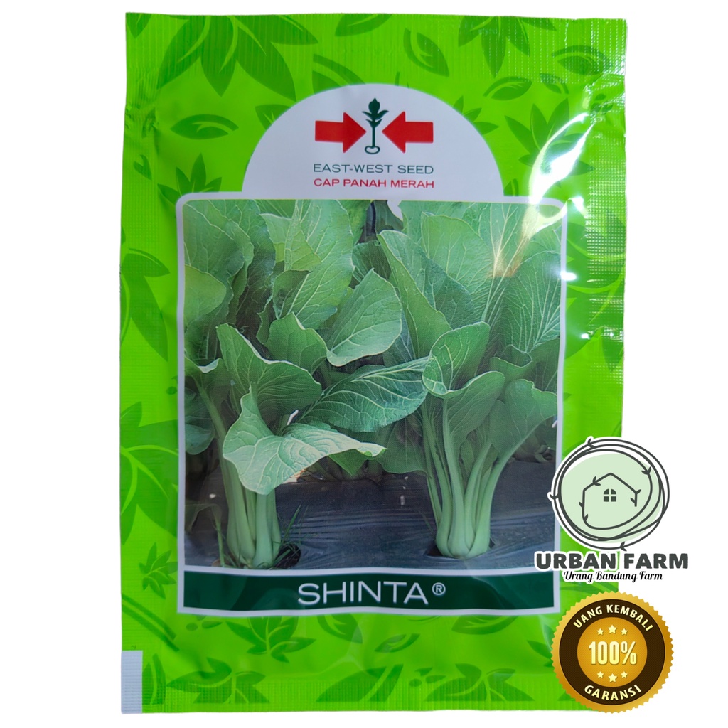 Jual Benih Sawi Chaisim Shinta 25 Gram - Cap Panah Merah | Shopee Indonesia