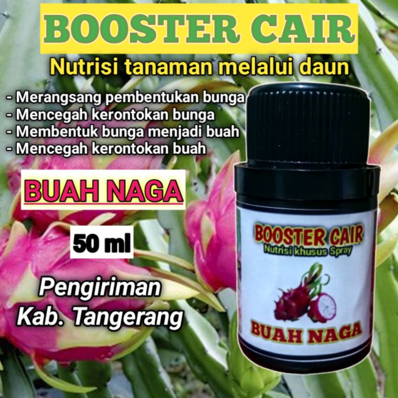Jual pupuk boster buah naga anti rontok perangsang bunga dan pelebat buah 50 ml bisa cod ...