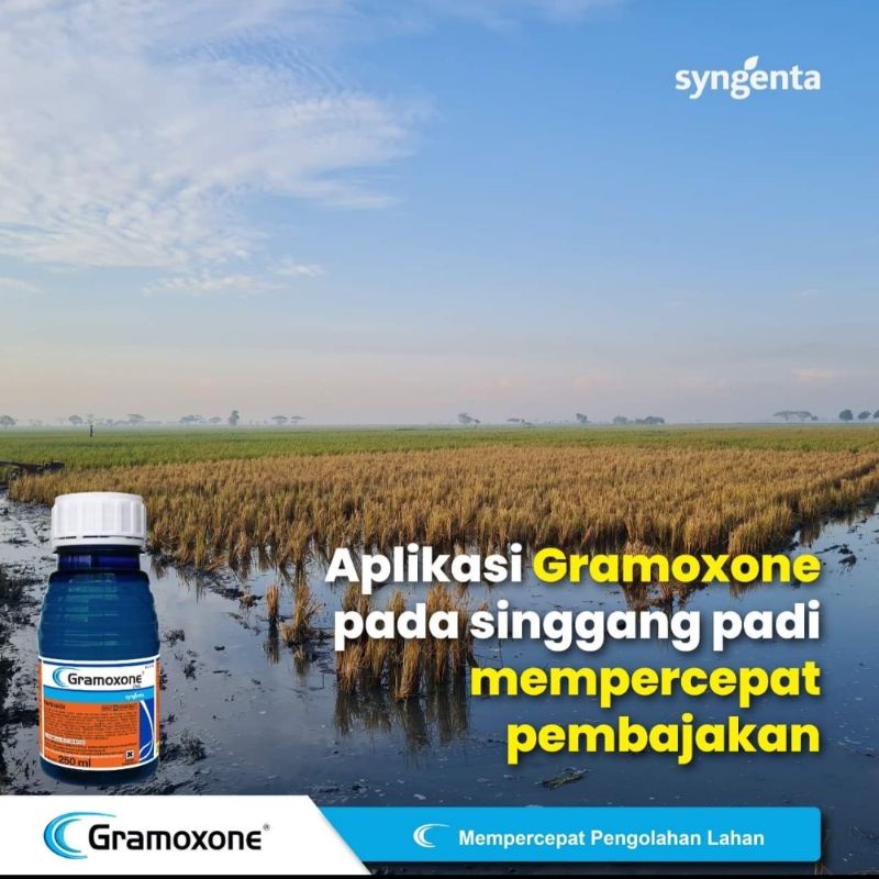 Jual Herbisida GRAMOXONE 276 SL kemasan 250ml, 500ml, 1L | Shopee Indonesia