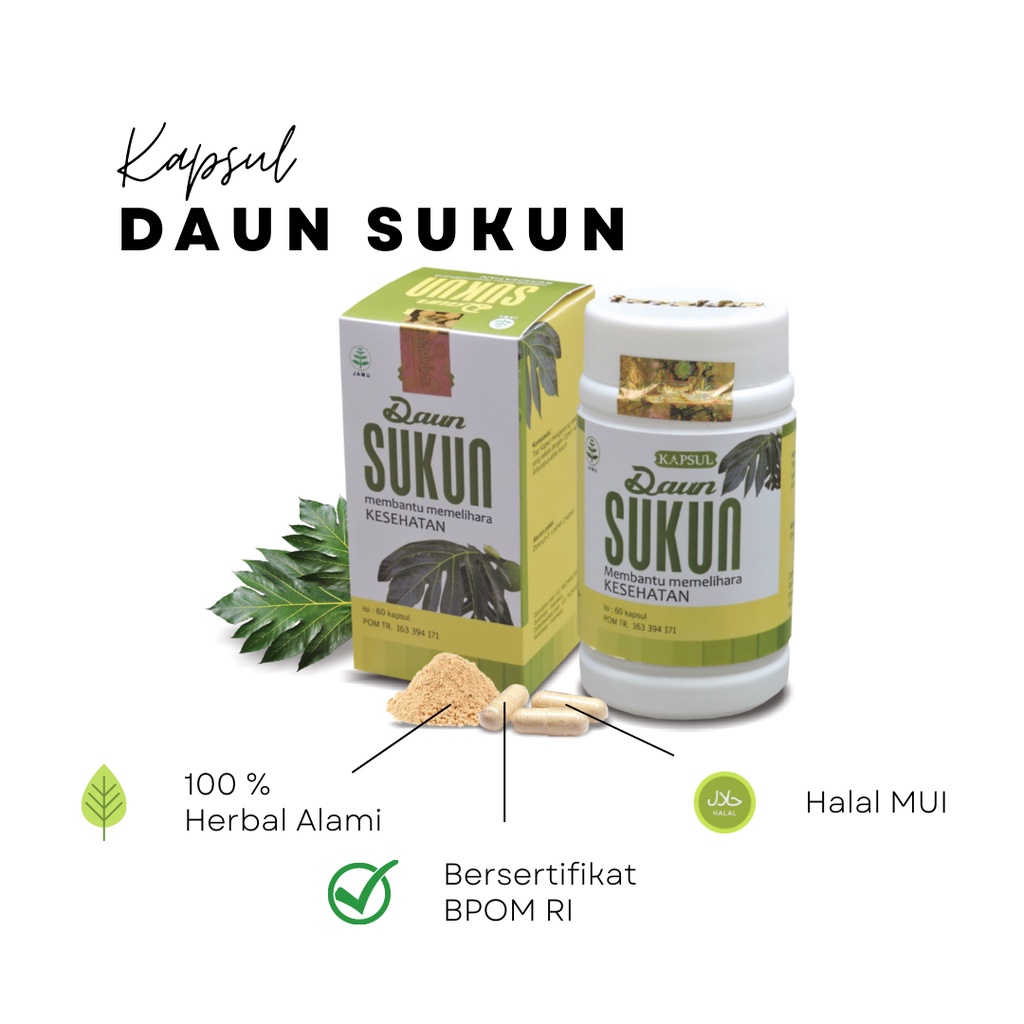 Jual DAUN SUKUN OBAT JANTUNG Bengkak Koroner Herbal Alami Tazakka ...