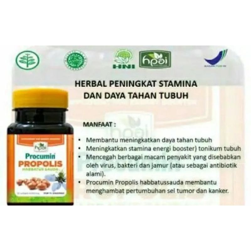 Jual Procumin propolis habbatussauda HNI original 100% | Shopee Indonesia