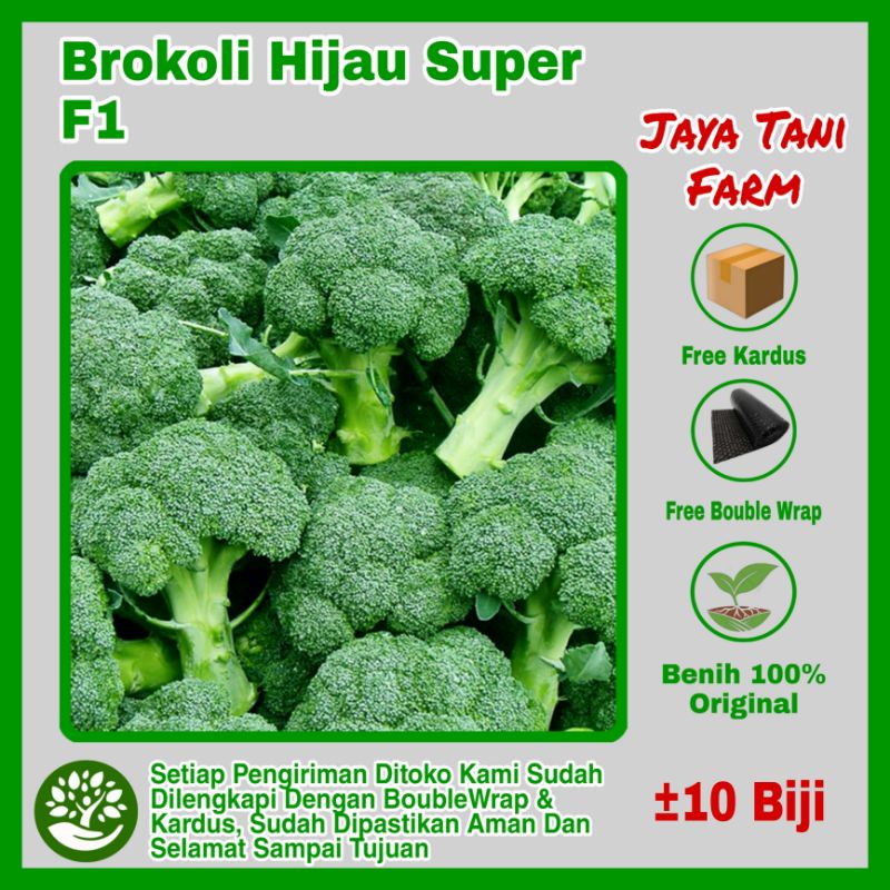 Jual 10 Biji Benih Brokoli Hijau Gren Super F1 / bibit sayuran Brokoli ...