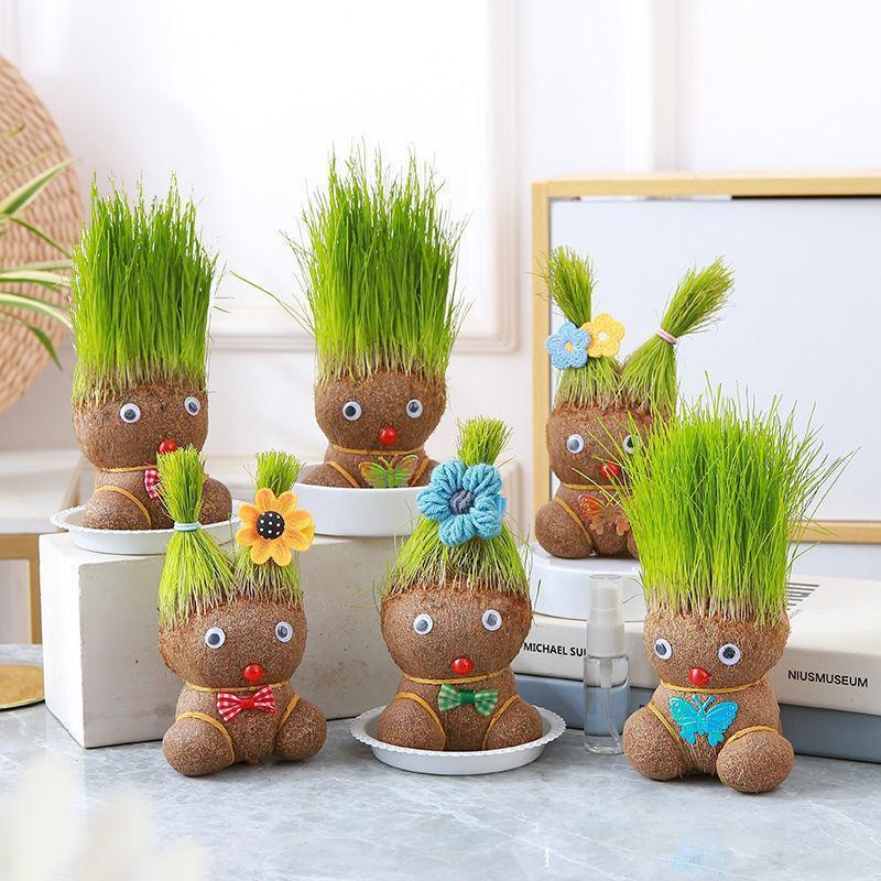 Jual Boneka Rumput Kepala Dekorasi Kantor Pot Rumput Tanaman Hijau ...