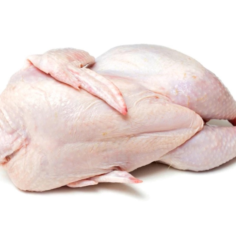 Jual KARKAS AYAM BROILER / AYAM POTONG UTUH UKURAN 800gr - 900gr ...