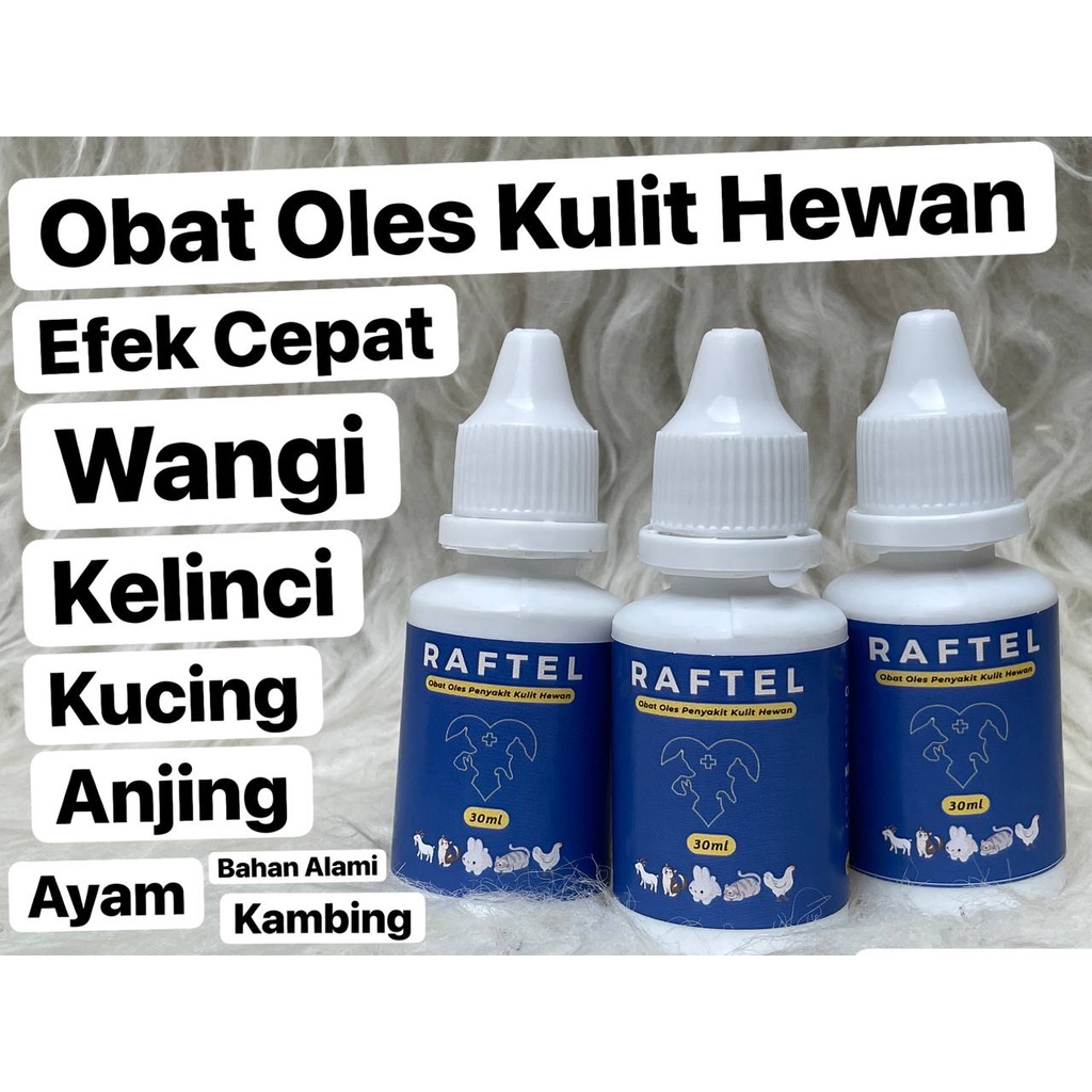 Harga Raftel Terbaru Oktober 2023 |BigGo Indonesia