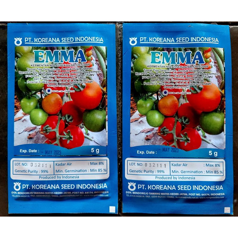 Jual Benih Tomat EMMA Tahan Virus Gemini Layu Bakteri Layu Fusarium ...