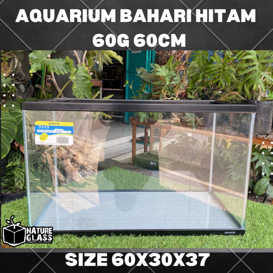 Jual Aquarium Akuarium Akrilik BAHARI 60G 60cm Ikan Reptil + Safety Box ...