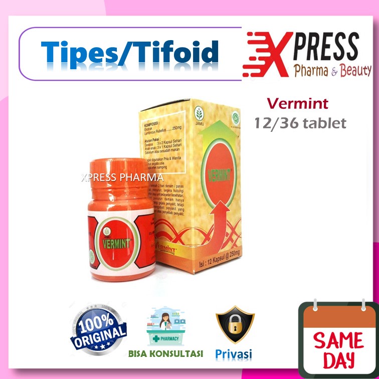 Jual ⚡XPRESS⚡ Vermint Kapsul Cacing Obat Panas Demam Typus Tipes Vermin ...