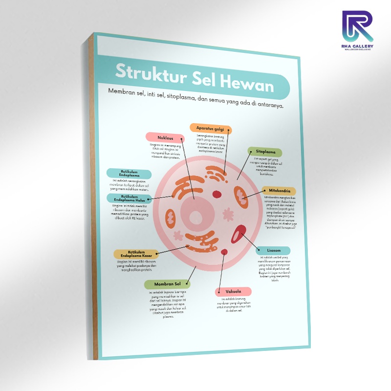 Harga sel tumbuhan Terbaru Nov 2024 |BigGo Indonesia