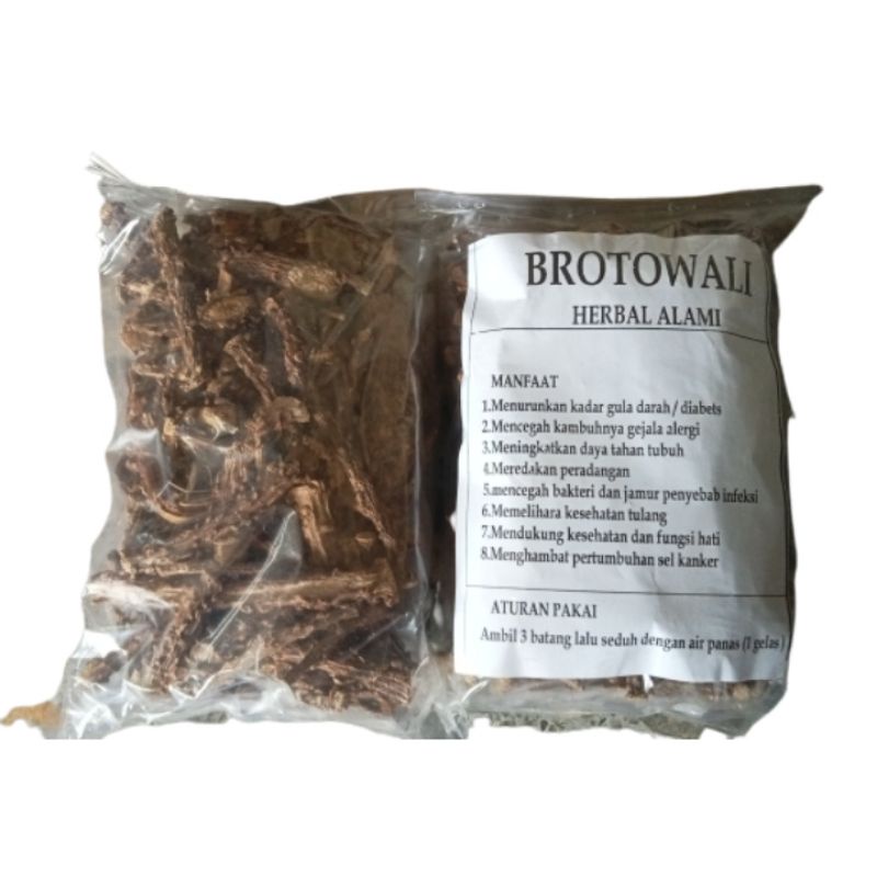 Jual Brotowali Patrawali Kering Perawatan Tulang | Shopee Indonesia