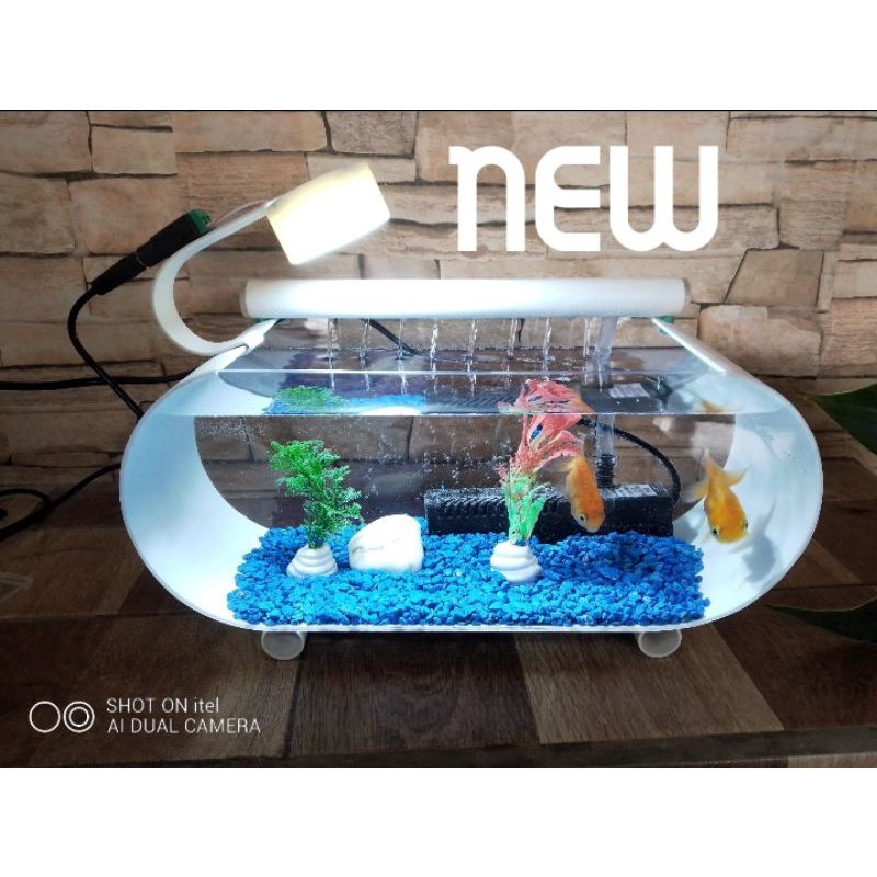 Jual Aquarium ikan hias mini akrilik murah | Shopee Indonesia