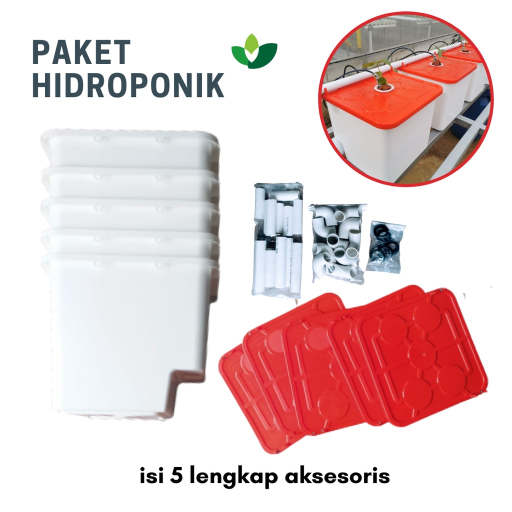 Jual PAKET Box Pot Ember Tanam Hidroponik Buah Indonesian Growing ...