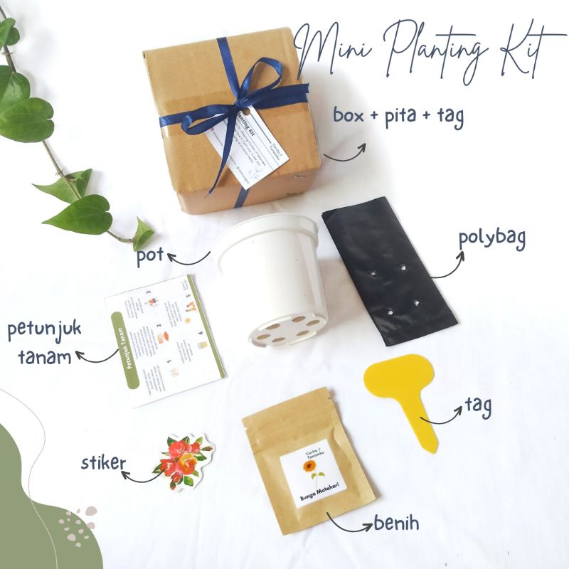 Jual Mini Planting kit /grow kit / paket menanam / hampers / gift box ...
