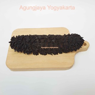 Jual Teripang Nanas / Timun Laut / Sea Cucumber / Haisom ( export ...