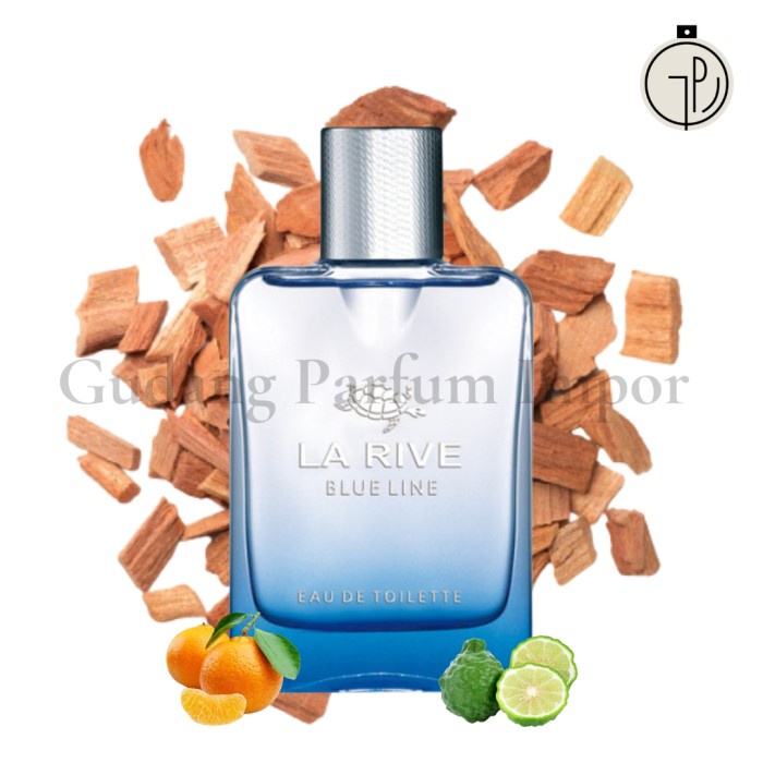 Jual La Rive Blue Line for Men EDT 100 ml | Shopee Indonesia