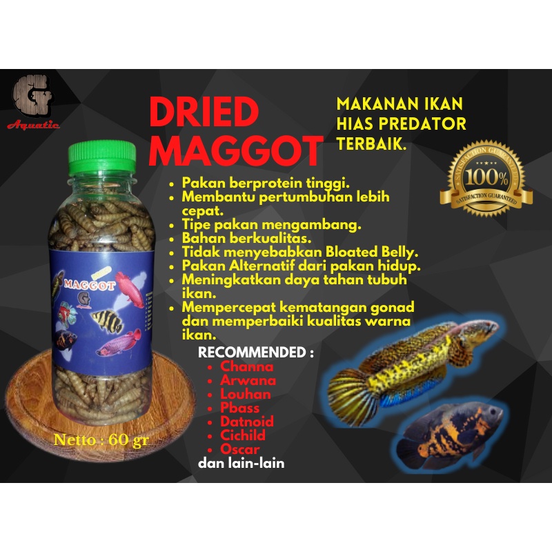 Jual PAKAN IKAN PREDATOR MAGGOT KERING / DRIED MAGGOT SUPER BERKUALITAS ...