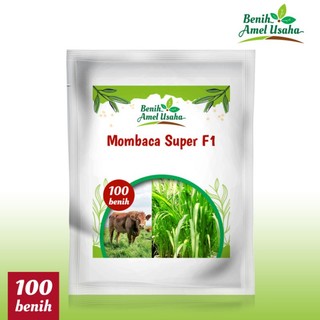 Jual paket pakan ternak 3 macam indigofera super - mombaca super ...
