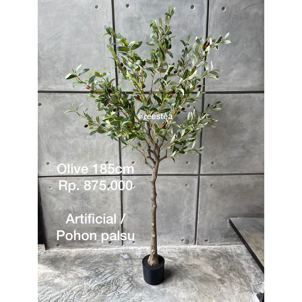 Jual Pohon Hias Olive Tinggi 185 cm /pohon hias Palsu/ pohon zaitun ...