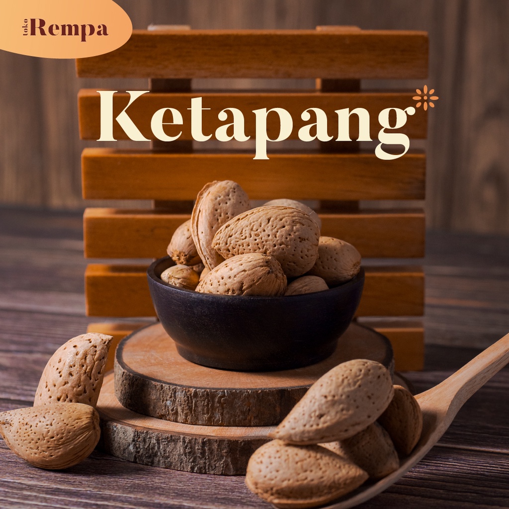 Jual Ketapang Biji / Indian Almond Seed 100gr | Shopee Indonesia