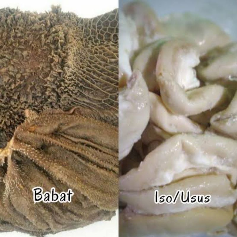 Jual babat/ISO sapi bersih | Shopee Indonesia