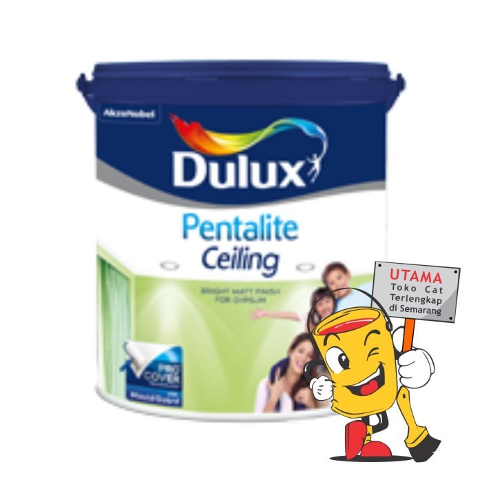 Jual Dulux Pentalite Ceiling White Cat Tembok 5 Kg | Shopee Indonesia