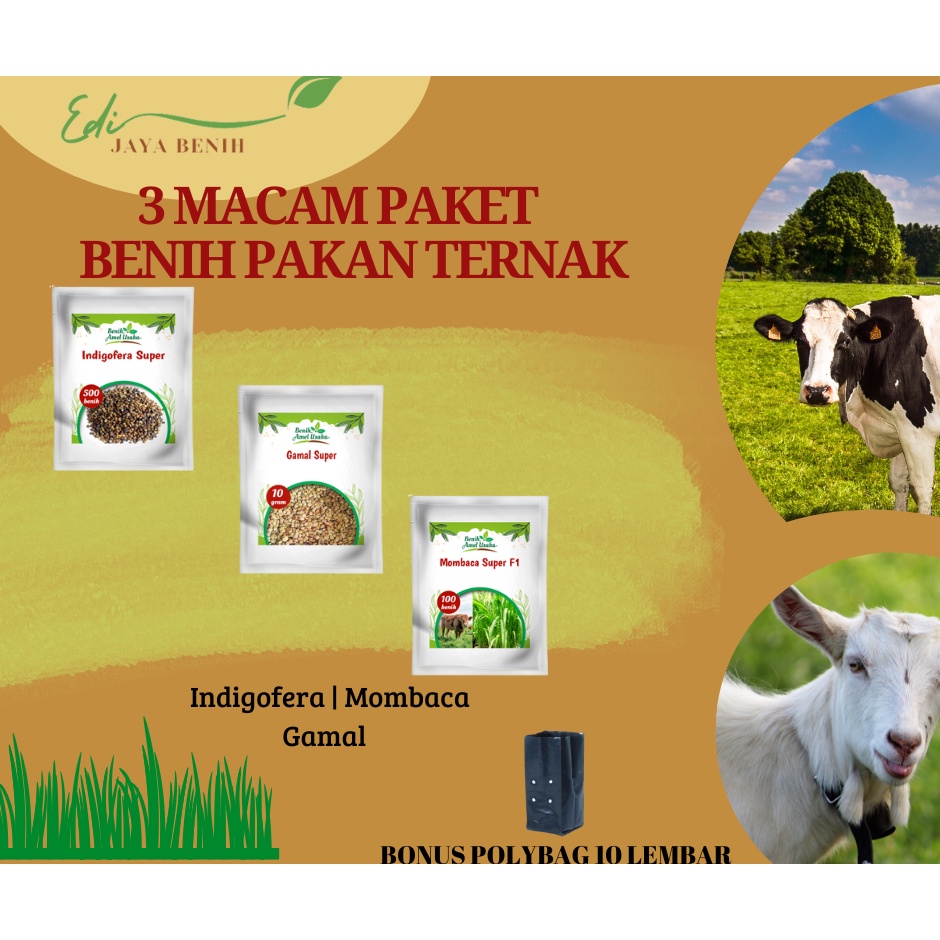Jual 3 macam benih paket pakan ternak gamal super / indigofera super ...