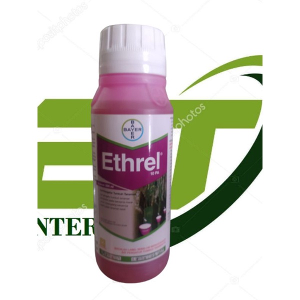 Jual Ethrel Karet 500 Ml | Shopee Indonesia