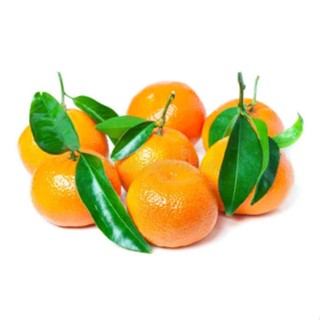 Jual Jeruk Santang Daun (500gr), Jeruk Baby, Jeruk Manis, Jeruk Sehat ...