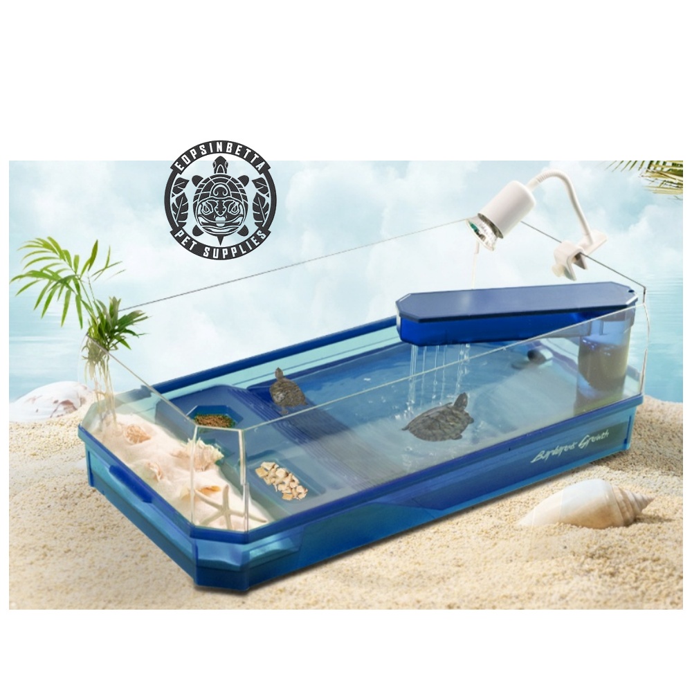 Jual Kandang Kura Kura Air Turtle Tub Aquarium Vivarium Dengan Filter | Shopee Indonesia