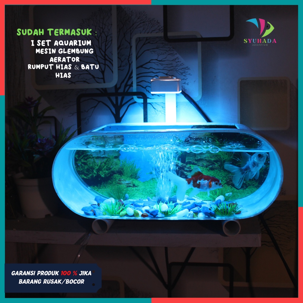 Jual (PROMO) 1 Set aquarium mini / Aquarium akrilik aquarium cupang ...