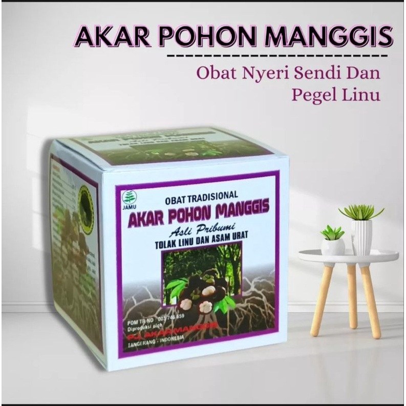 Jual Akar Pohon Manggis Original 1 box isi 20 sachet | Shopee Indonesia
