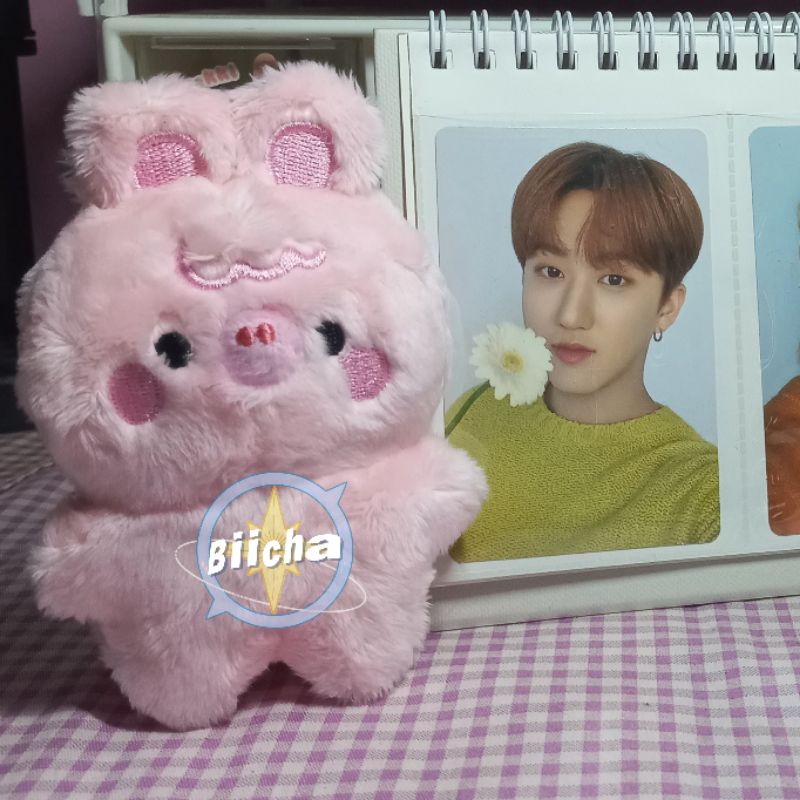 Jual Skzoo plushie dwaekki changbin shweep plushie mini plushie pop up ...