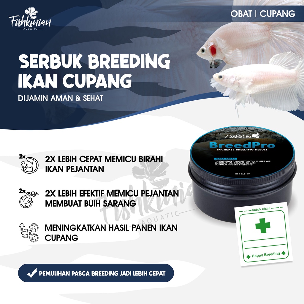 Jual BREEDING CUPANG / KAWIN / TERNAK IKAN CUPANG - Breed Pro Fishkinian | Shopee Indonesia