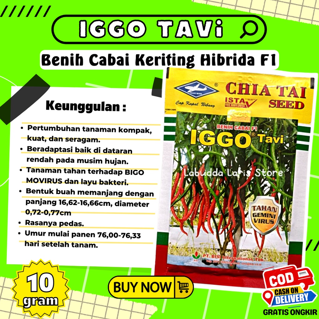 Jual Iggo Tavi Benih Cabe Keriting F1 Tahan Virus Benih Lombok Cabe Hibrida Cap Kapal Terbang ...