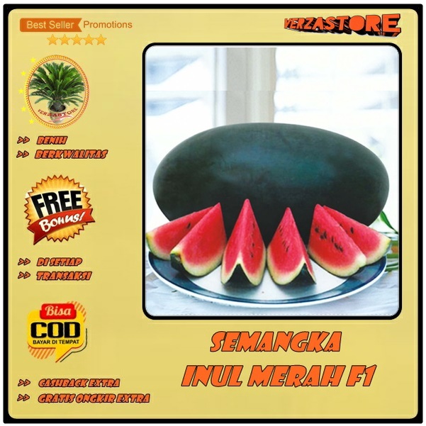 Jual 5 Benih Semangka Inul Merah Mardy F1 Bibit Buah Semangka Lonjong ...