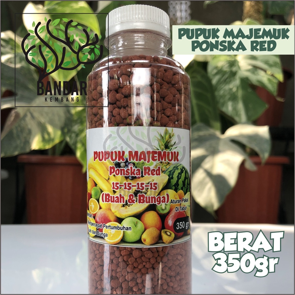 Jual Pupuk Phonska Red Mejamuk NPK 15-15-15 Pupuk Buah dan Bunga Pupuk ...