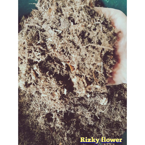 Jual Humus akar bambu halus 1kg siap pakai | Shopee Indonesia