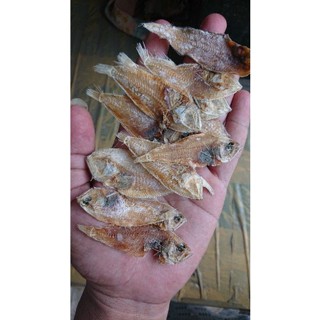 Jual ikan pihi baby 1kg | Shopee Indonesia