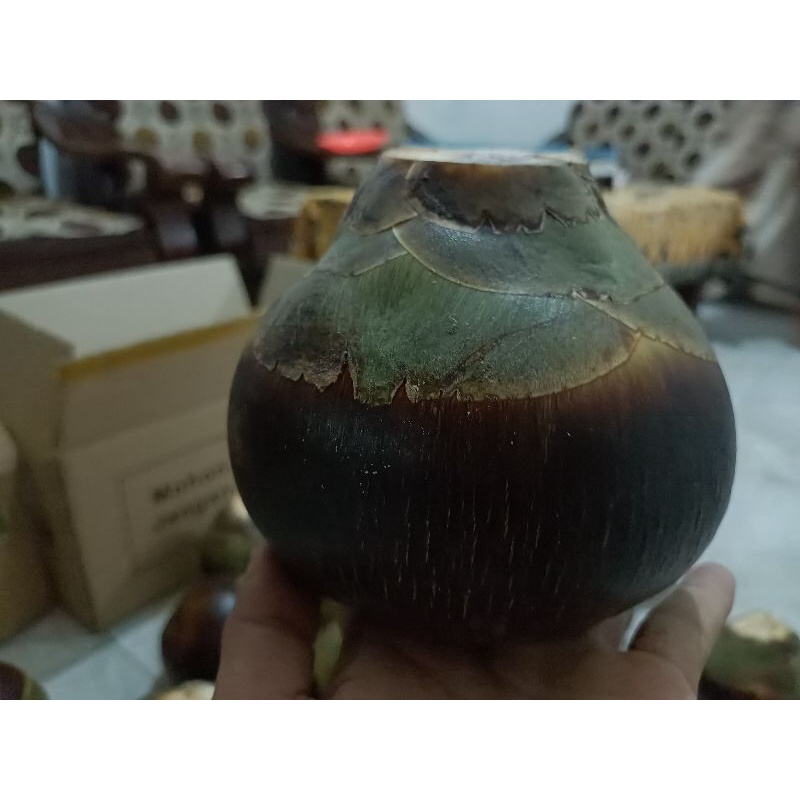 Jual Buaj Lontar//Buah siwalan khas tuban (1 buah isi 3 biji) | Shopee ...